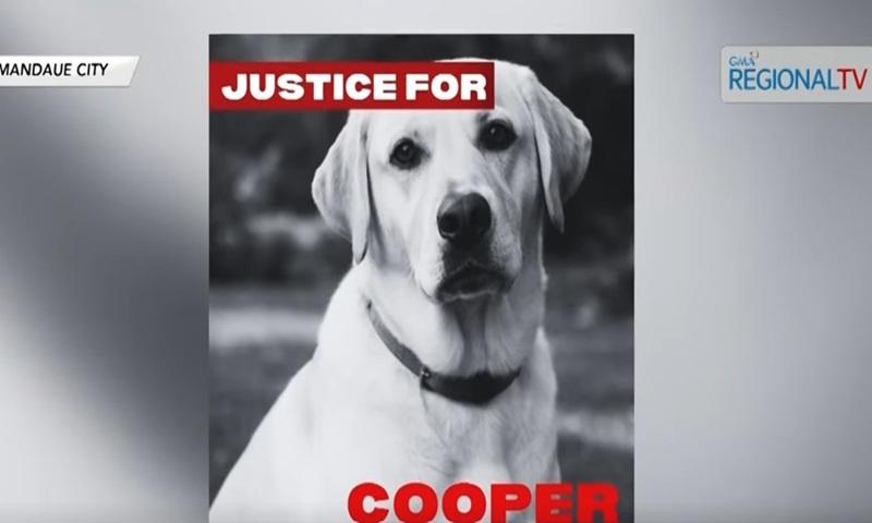 Dog beaten to death in Mandaue City