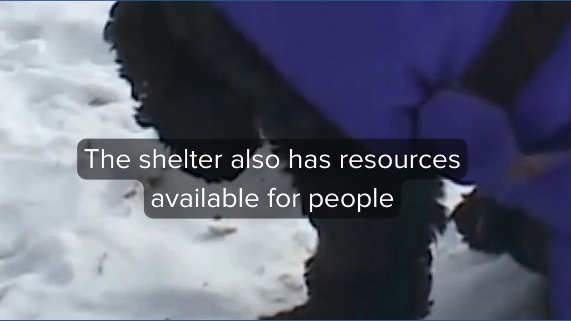 Animal shelters in need of donations during winter months
