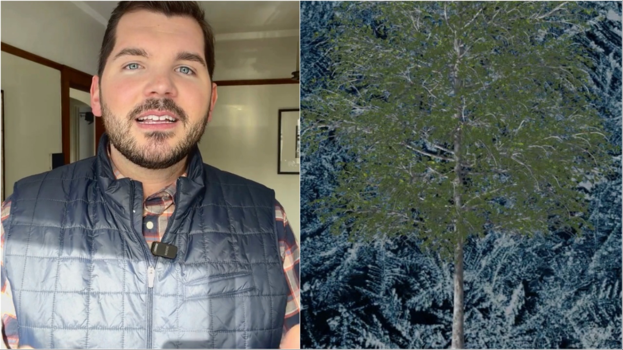 Meteorologist Brendan Johnson busts viral 'exploding trees' myth ...