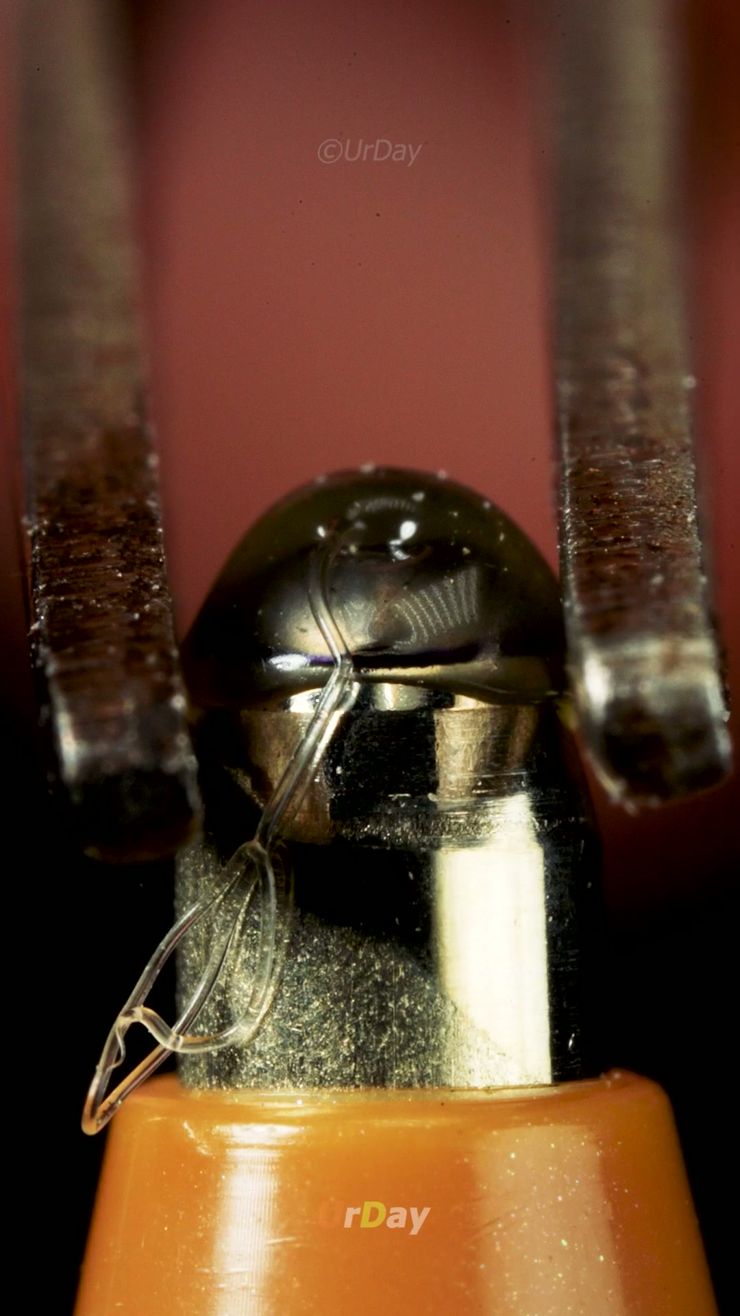 How things work close up