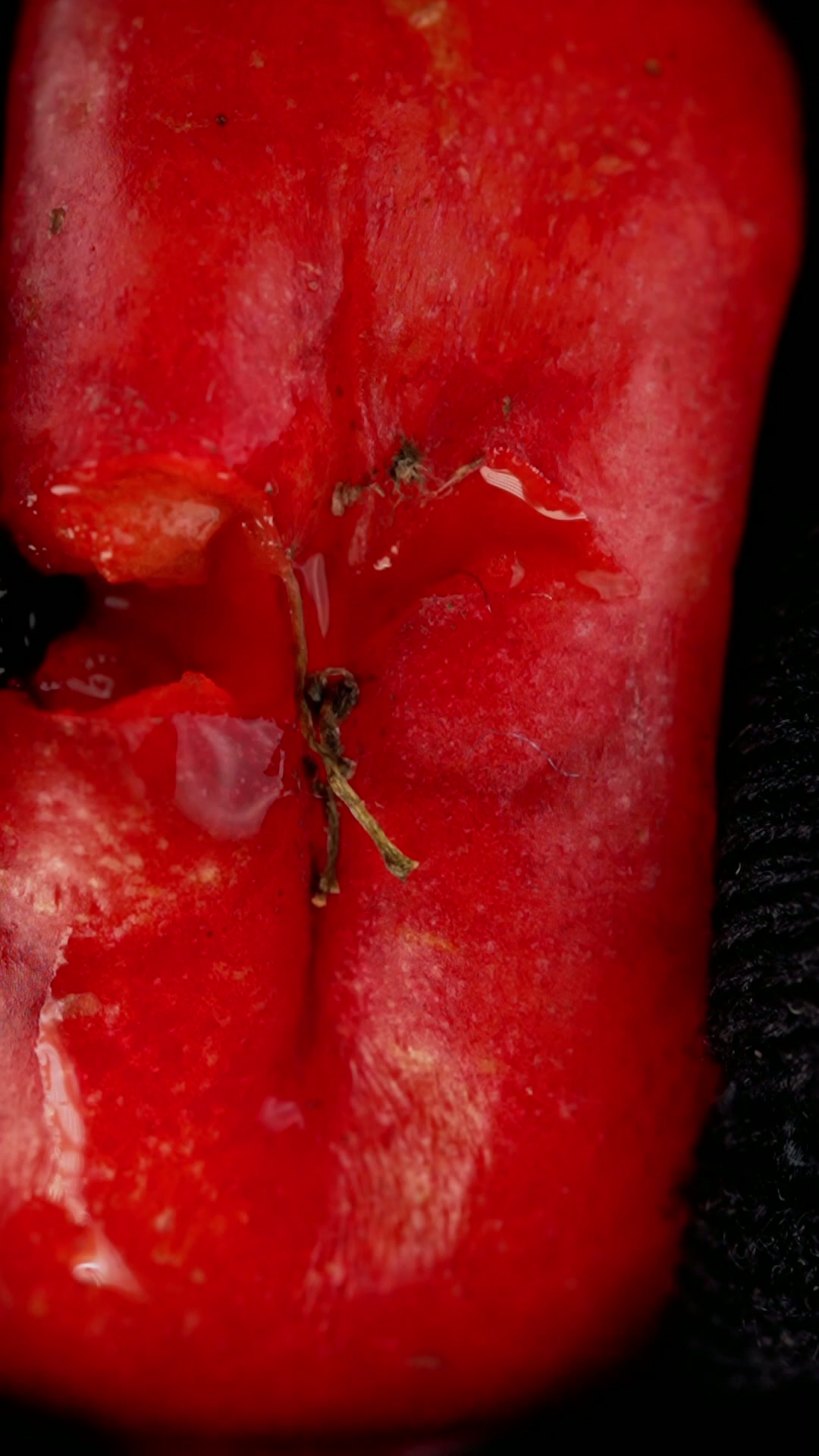 ASMR random fruit in macro