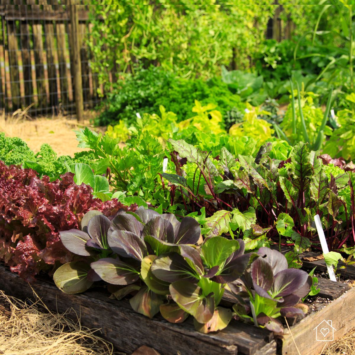 6 garden fence ideas that keep critters out (and your plants thriving)