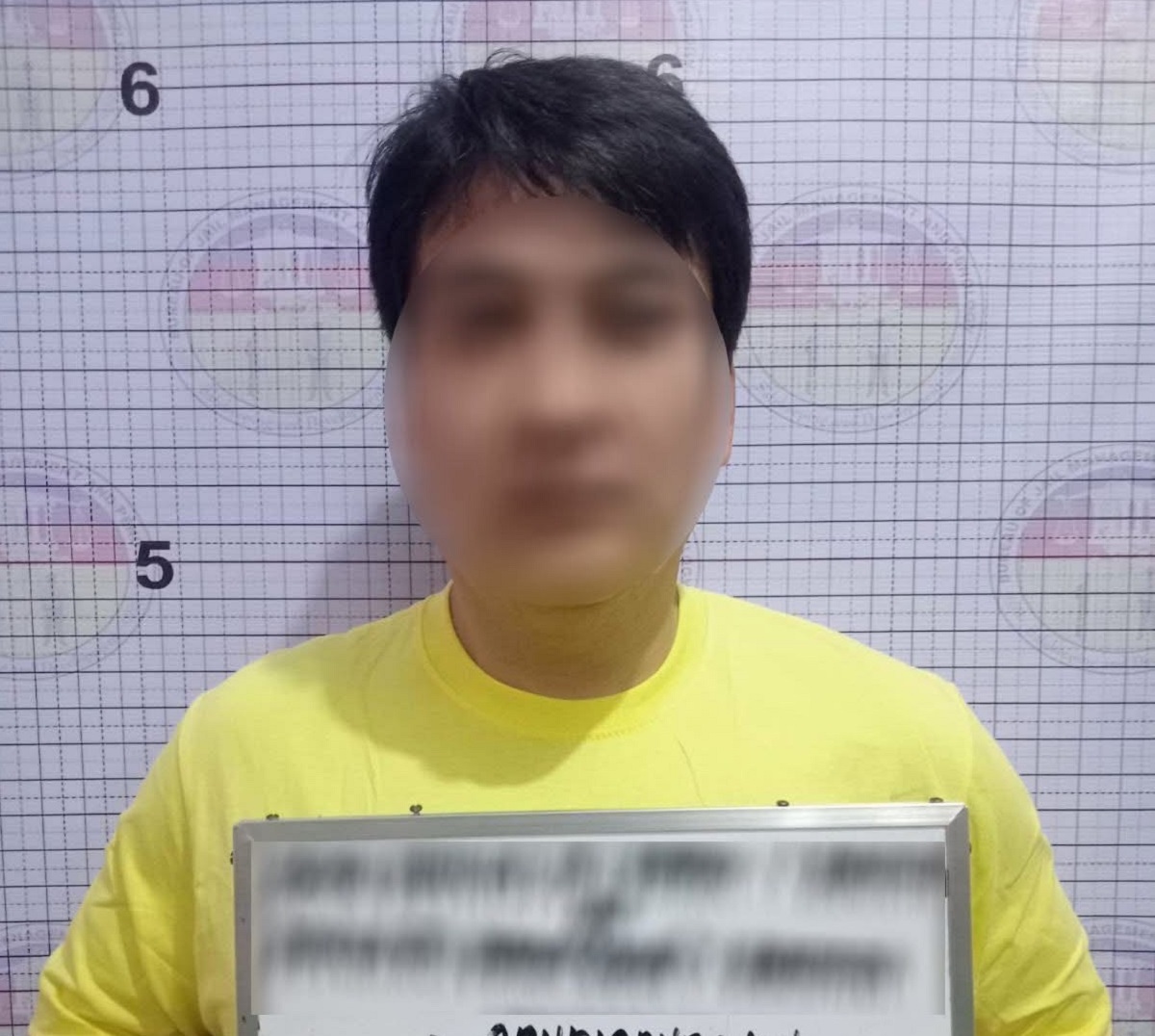 DILG releases Bong Revilla mug shot, denies he’s being treated as VIP