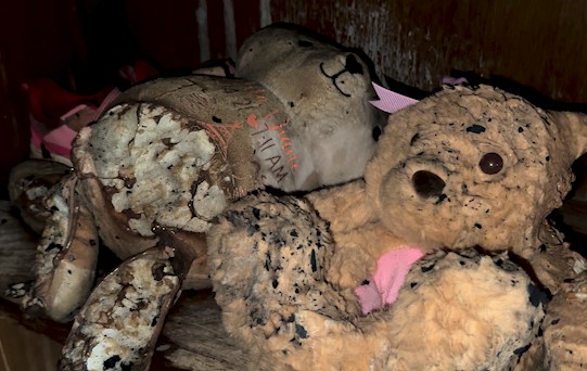 'Worst nightmare': Pine Grove house fire leaves single mom and ...