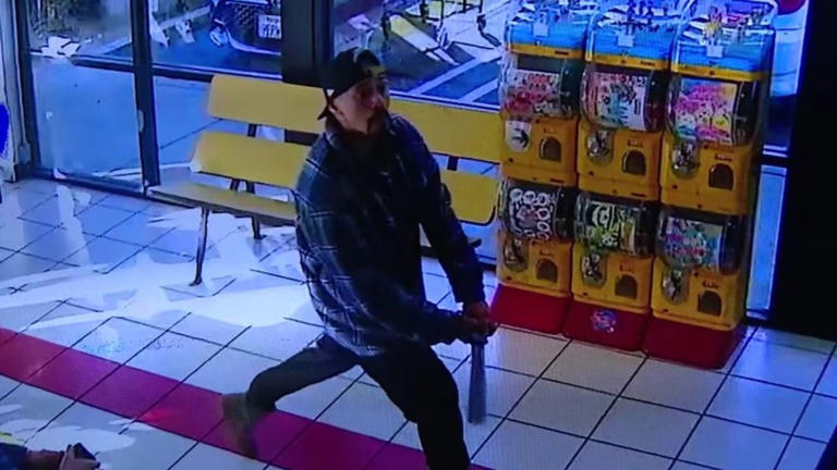 'Turned into chaos': Man armed with a machete targets and goes after ...