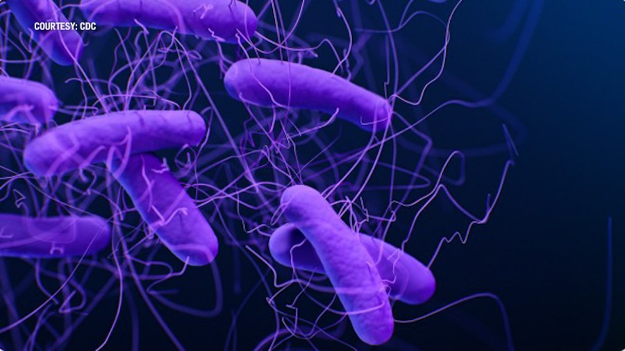 Upstate recruiting over 1,000 seniors for Clostridioides difficile ...