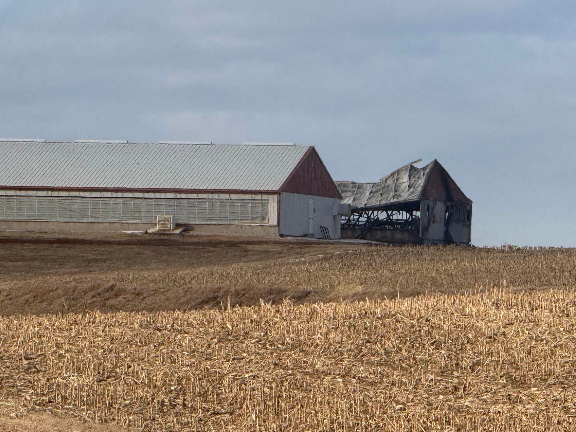 Fire at Wellman hog facility kills 250 pigs, destroys building