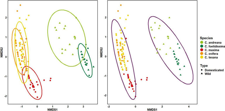 Domestication has changed the chemicals that squash flowers use to ...