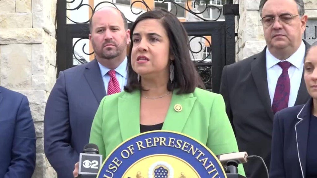 Rep. Nicole Malliotakis vows to fight the redrawing of the 11th ...