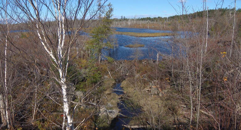 Halifax council approves plan for long-opposed Porters Lake ...
