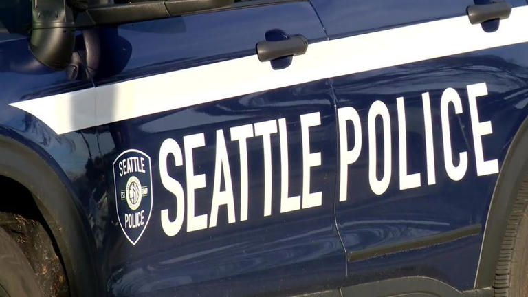 2 men critically injured in stabbing in Seattle's Chinatown ...