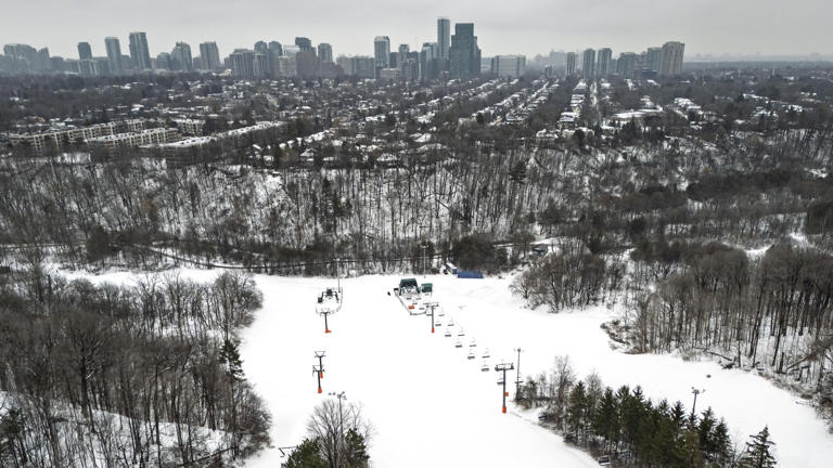 Que faire à Toronto du 23 au 25 janvier : théâtre, design et art ...