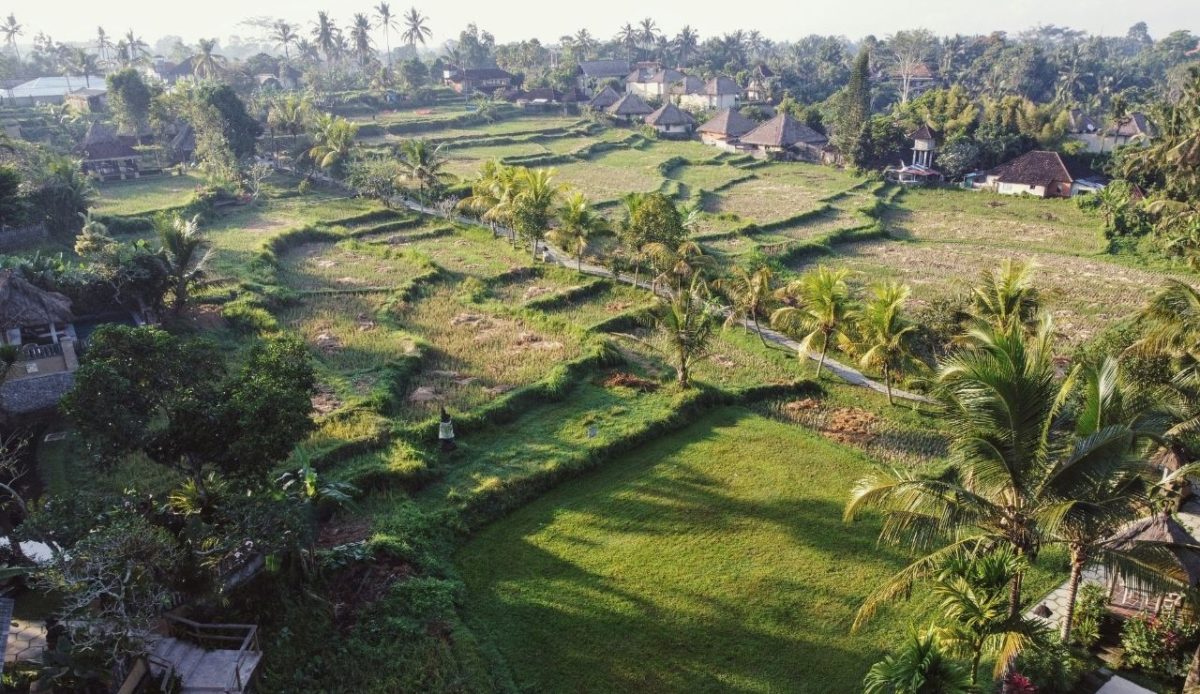 10 modern hippie havens where creativity and laid-back living flourish