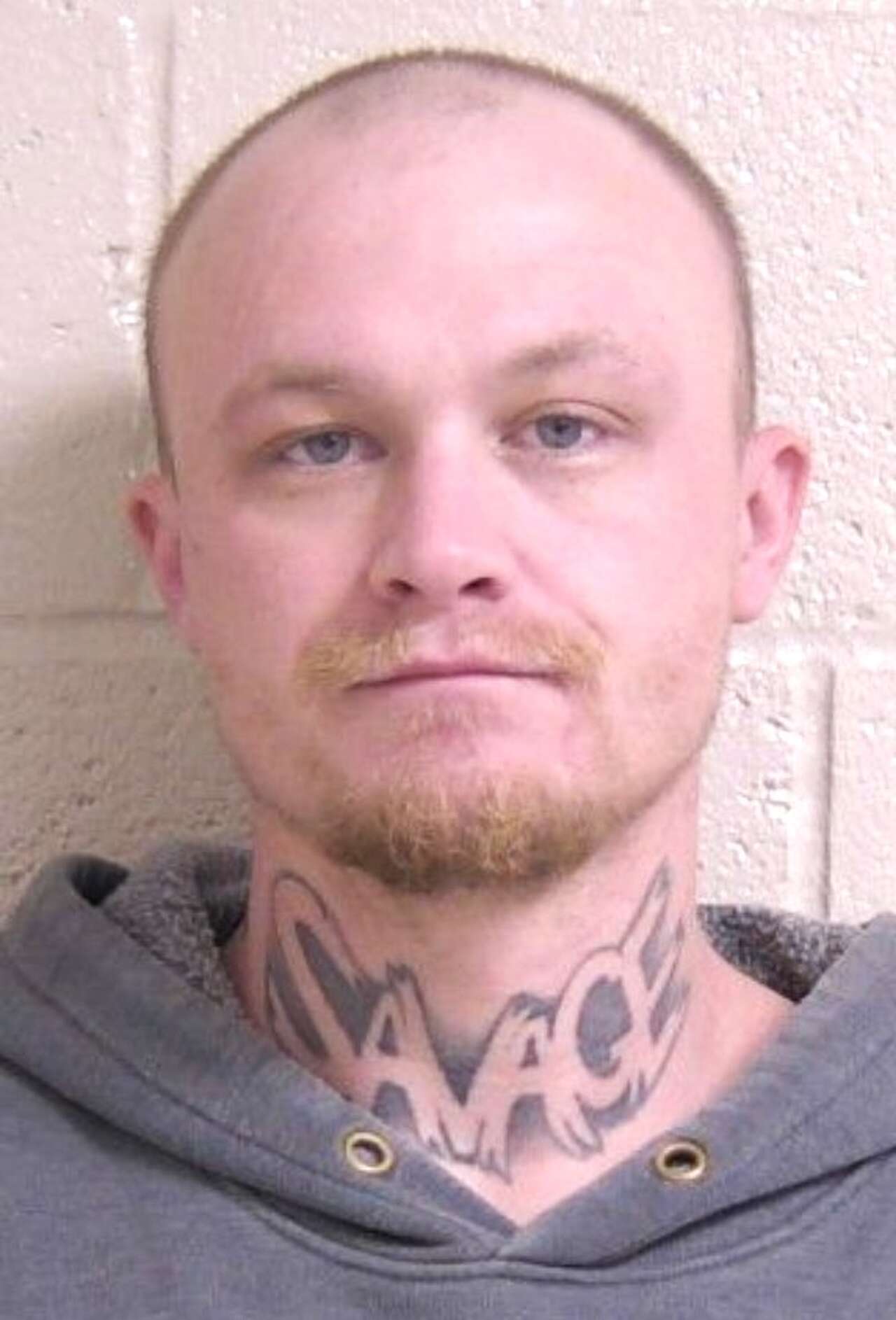 Shipman man indicted in Madison County on guns, drugs, theft charges