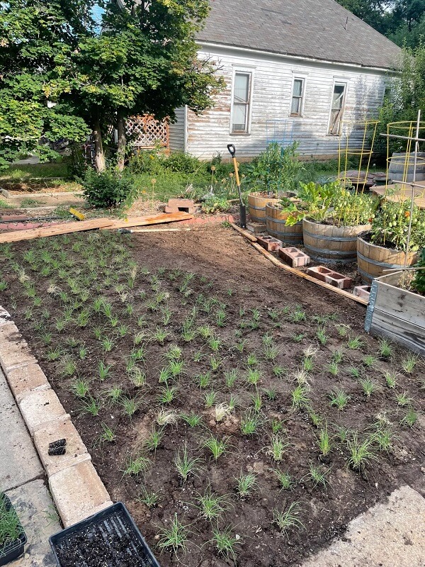 Homeowner stuns social media users with before-and-after photos of low ...