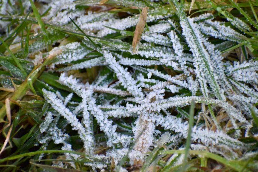 Cold weather advisory issued for Portland on Thursday. Here’s what to know