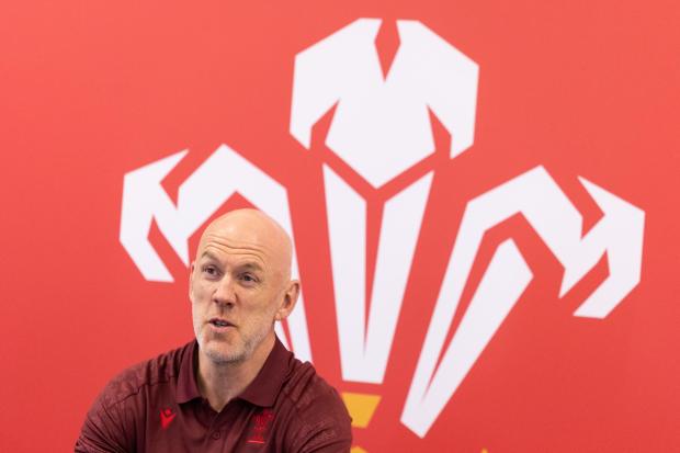 'There is more to do' - MPs highlight discontent from Welsh rugby fans