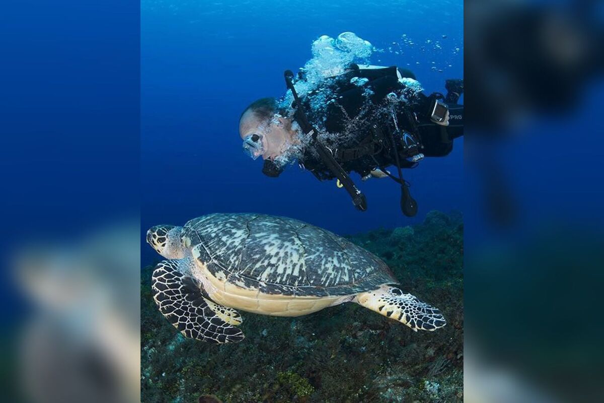 Felipe Calderón se suma a la tendencia y recuerda sus momentos del 2016