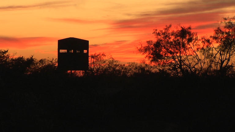 Richard Moore outdoor report: Battling battered bucks