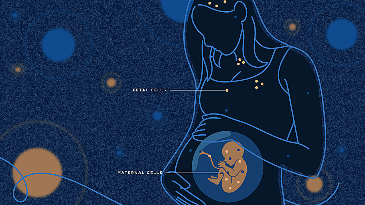 Cells that are not our own may unlock secrets about our health