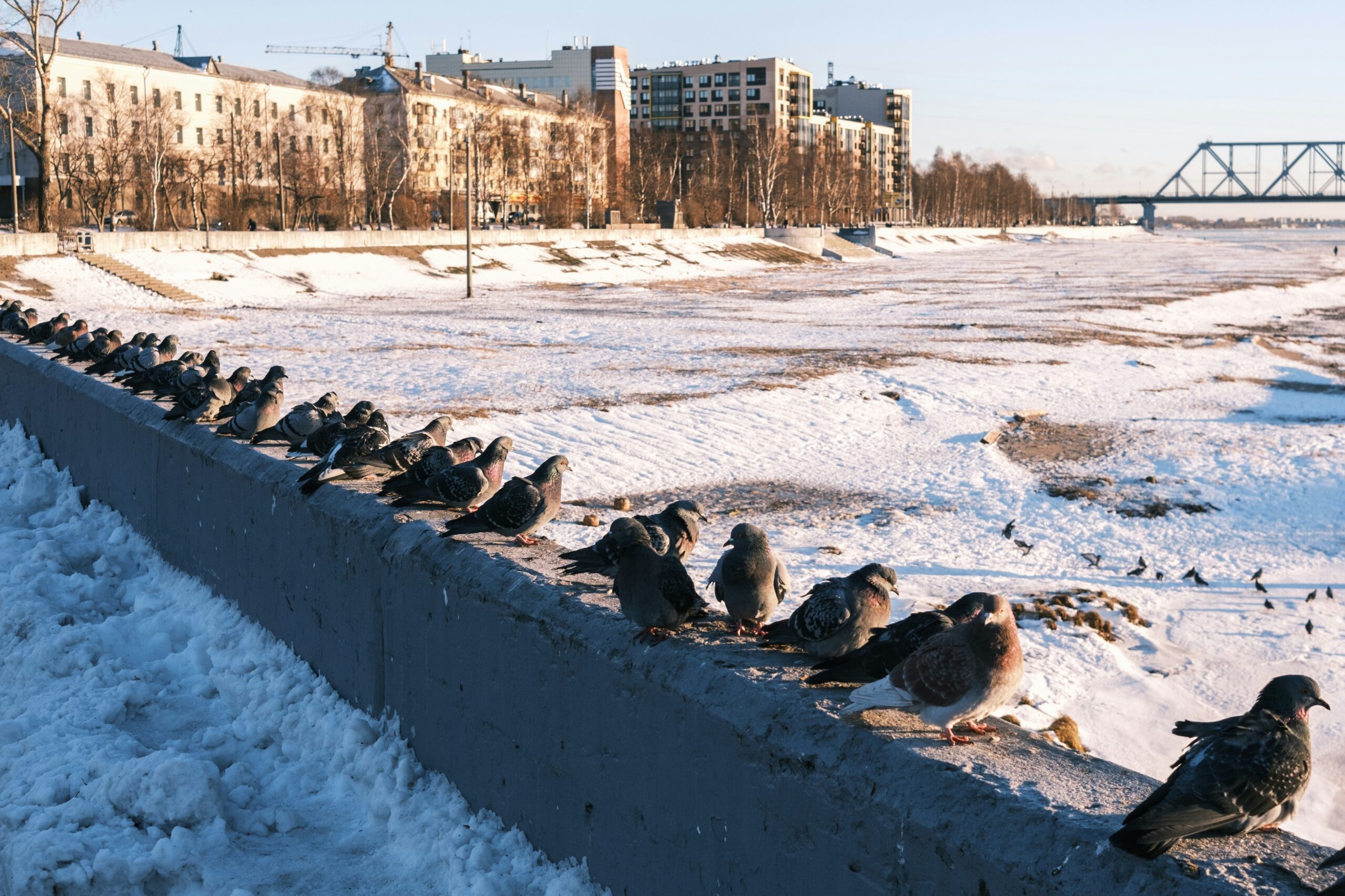 Winter without end: 6 countries locked in cold — and 4 that never freeze