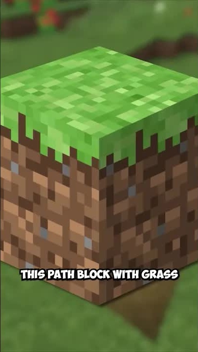 Minecraft: ultimate path dirt guide