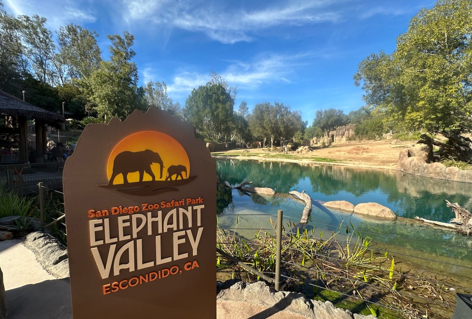 Our sneak peek at Elephant Valley (spoiler: kids will be obsessed)