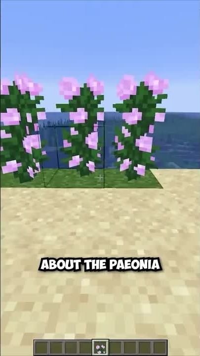 Minecraft's paeonia flower: Unused texture mystery