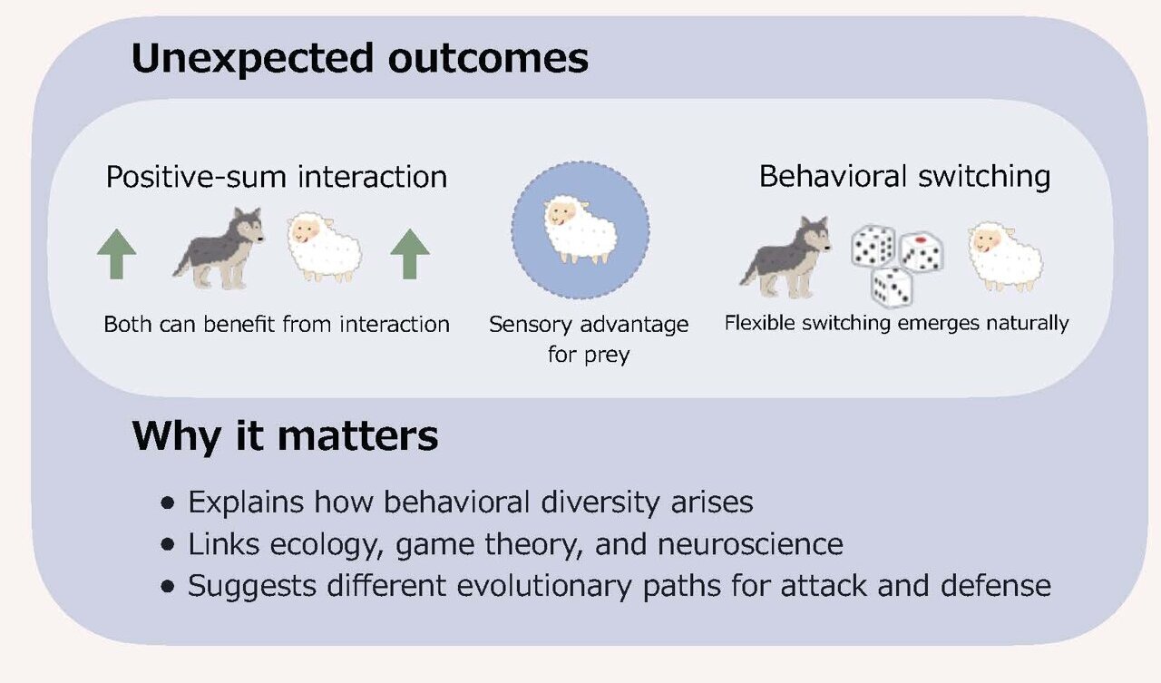 Nash equilibria: The hidden math behind predator–prey behaviors