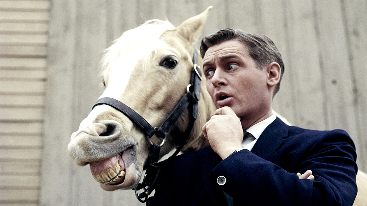 The secret behind 'Mister Ed': Why Wilbur lied to a generation