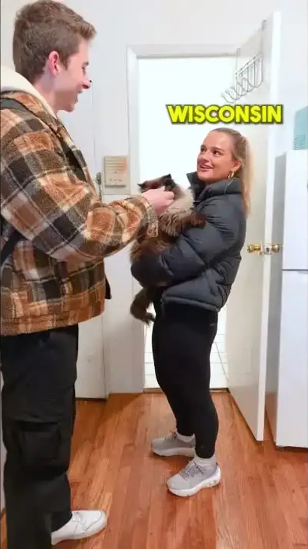 NYC apartment tour, studio living and cost of living