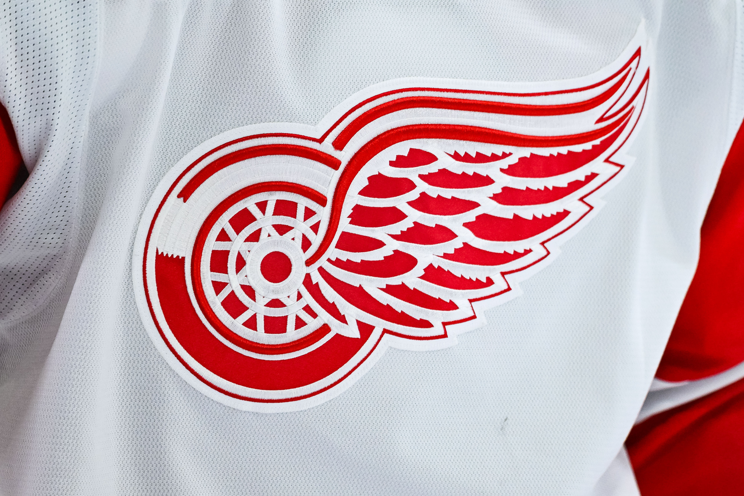 Red Wings are quietly poised to add defense at the deadline