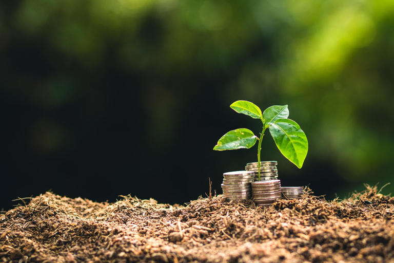 How much interest will a $30,000 CD account earn in 2026?