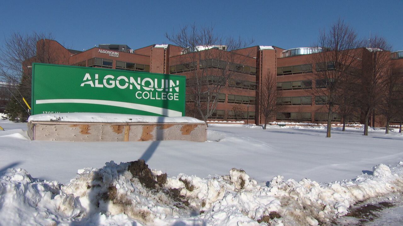 Algonquin College plans to cut 30 more programs