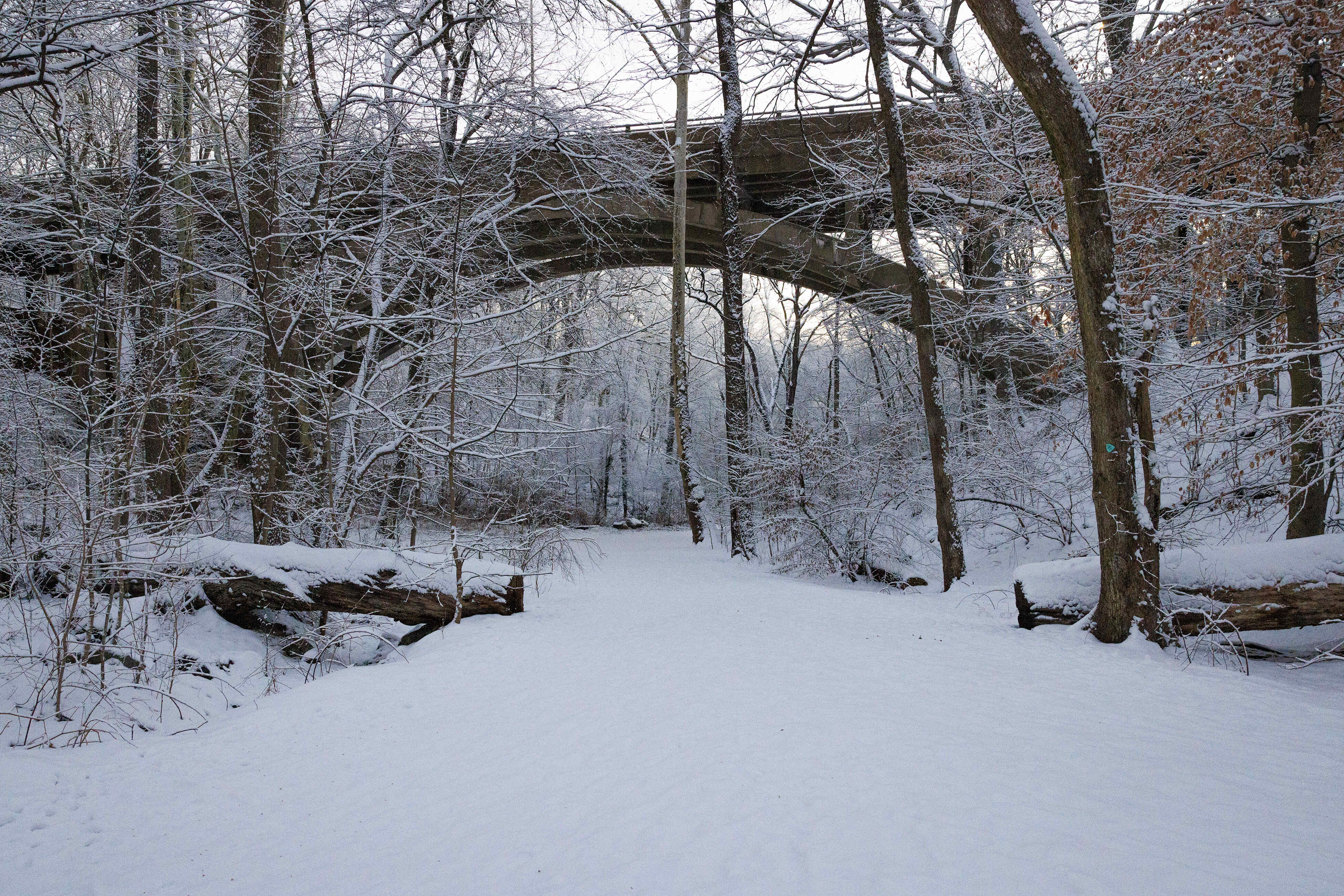A major winter storm is looking inevitable for Philly, with the snow ...