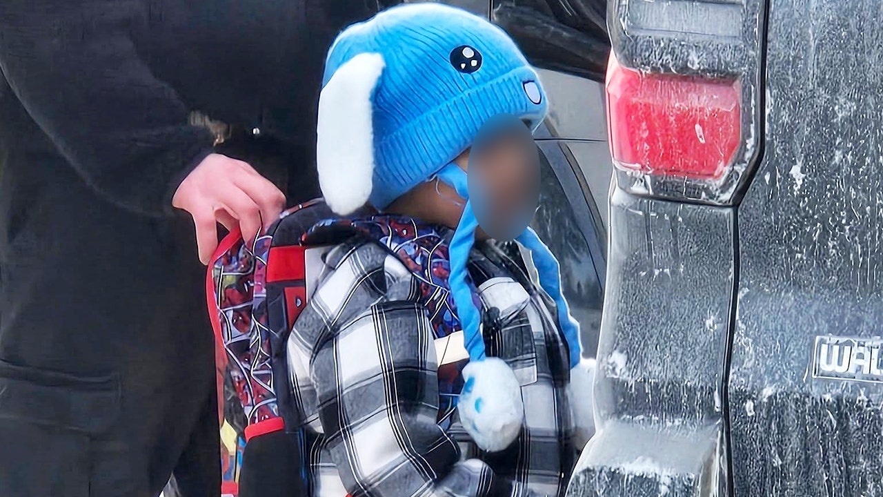 White House, DHS push back on claims ICE targeted 5-year-old in ...