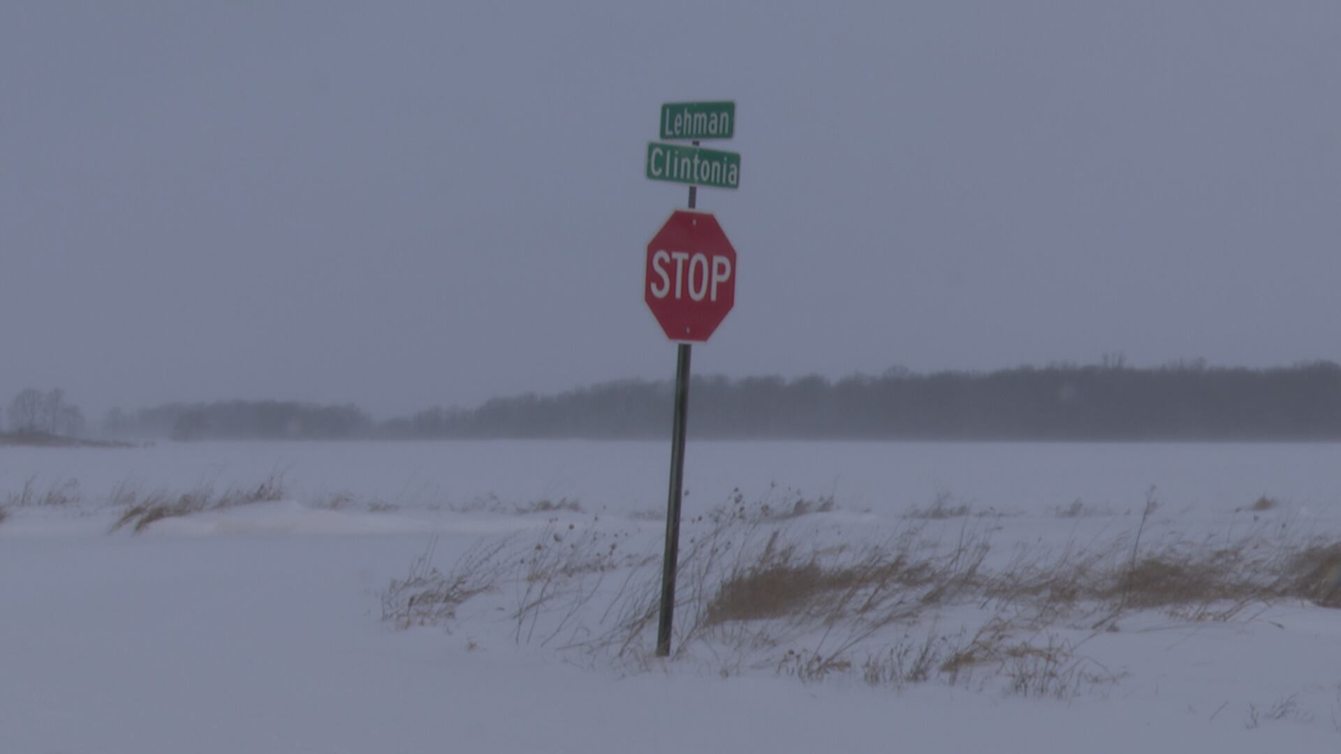5-year-old girl, man die after falling into icy Clinton County pond