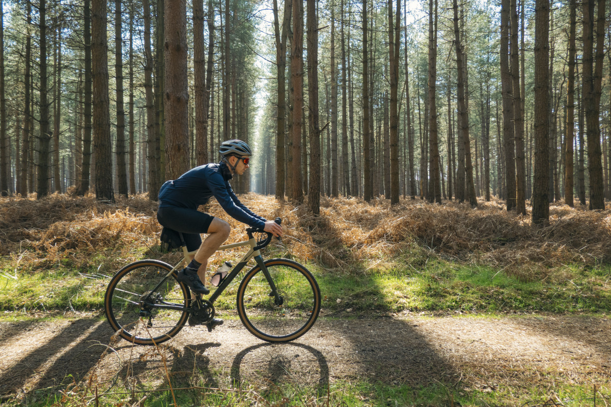 Long-term study reveals the surprising fitness habit that boosts ...