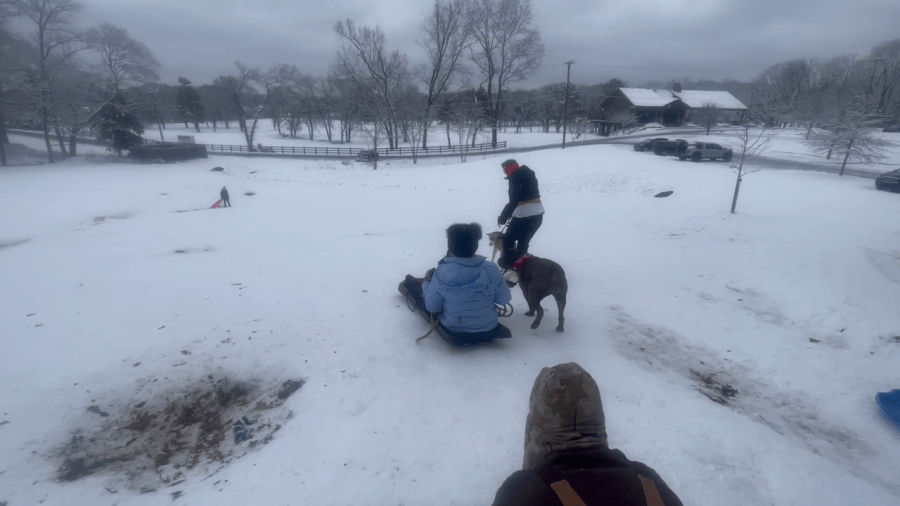 7 tips on how to sled safely