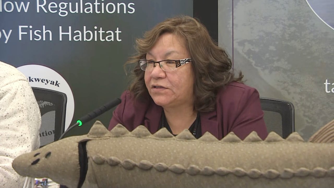 First Nation says Manitoba Hydro's 'environmental colonialism ...