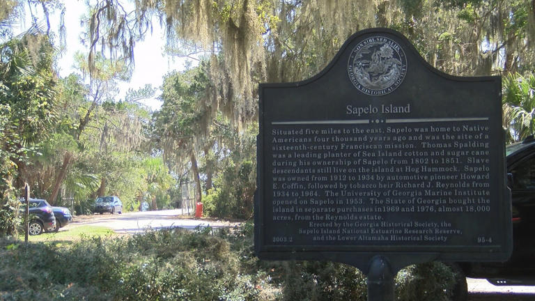 McIntosh County implements 30-day building moratorium on Sapelo Island