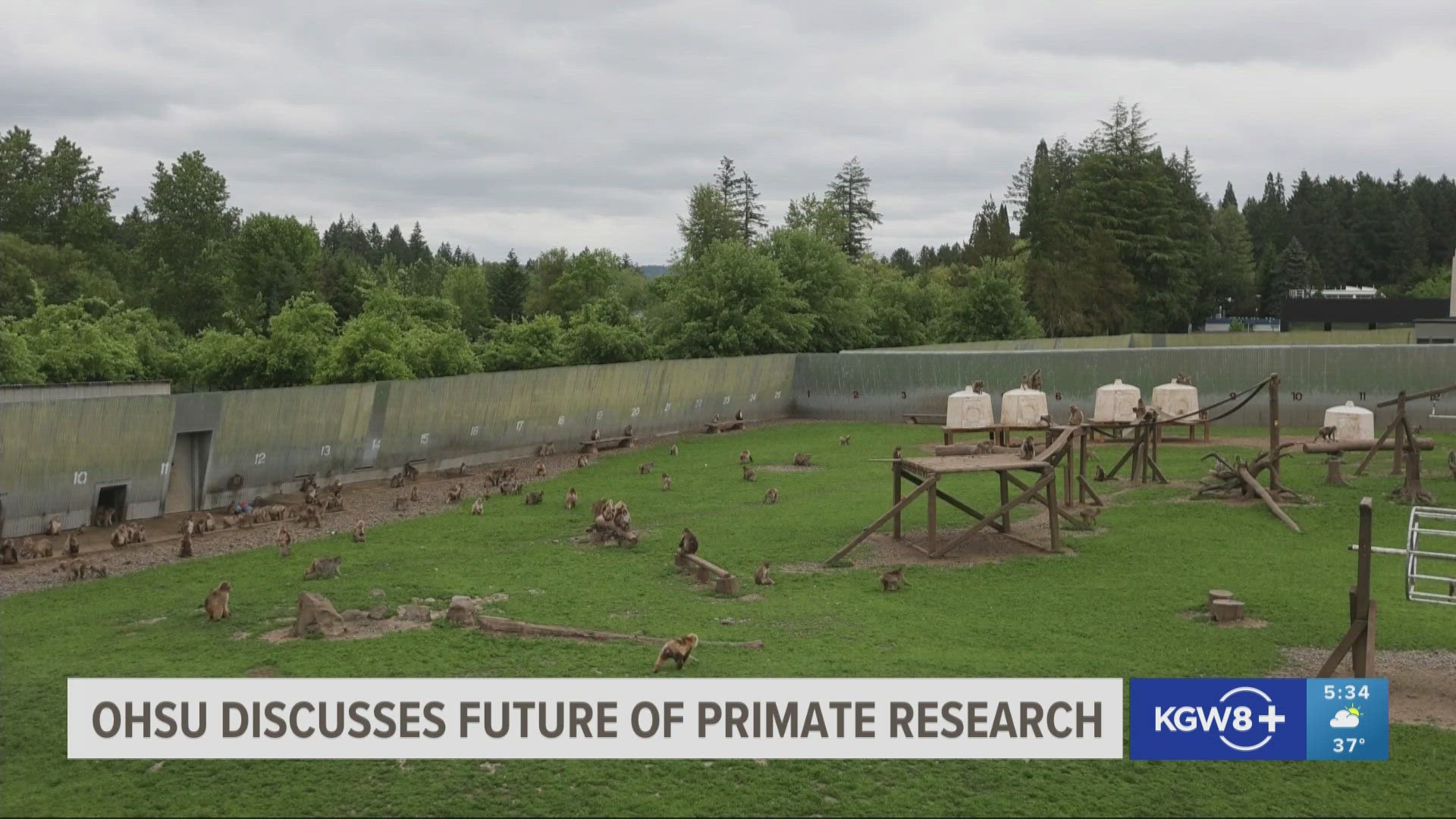 OHSU releases update on primate research center's future