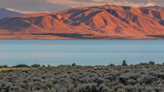 Lawmakers spark debate after considering unusual solution to stop ...