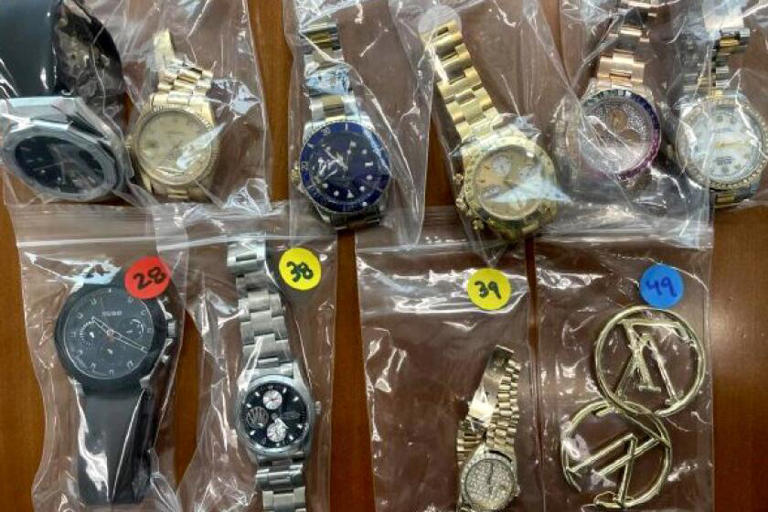 Transnational jewelry theft ring busted after monthlong investigation ...