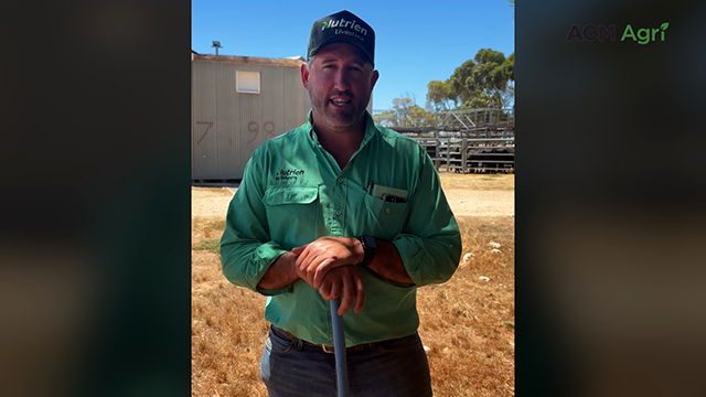 Strathalbyn store sale - January 23, 2026