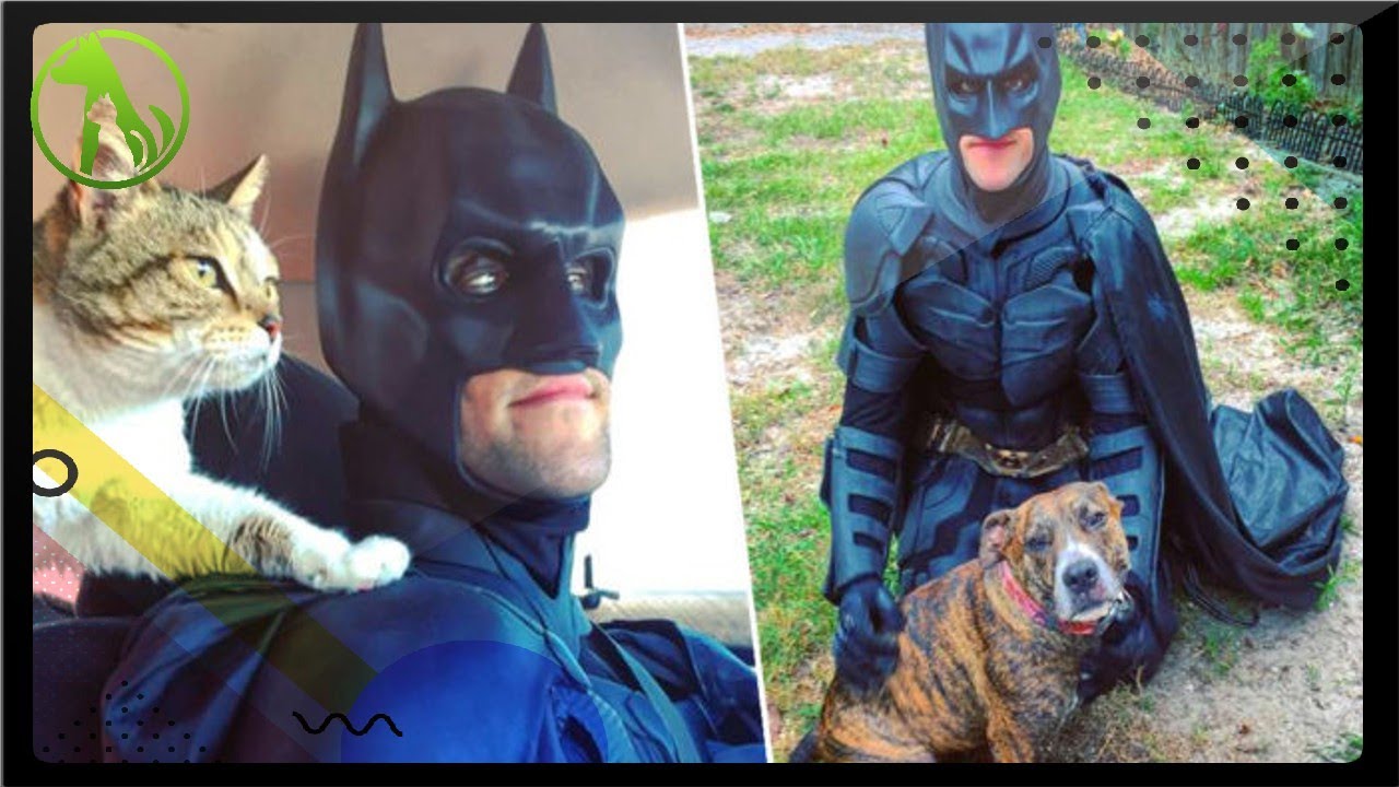 Real-life Batman rescues shelter animals | Hero in action