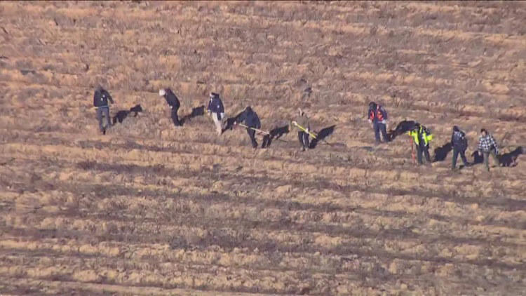 FBI raids Virginia chicken farm, owners charged with dealing guns and ...