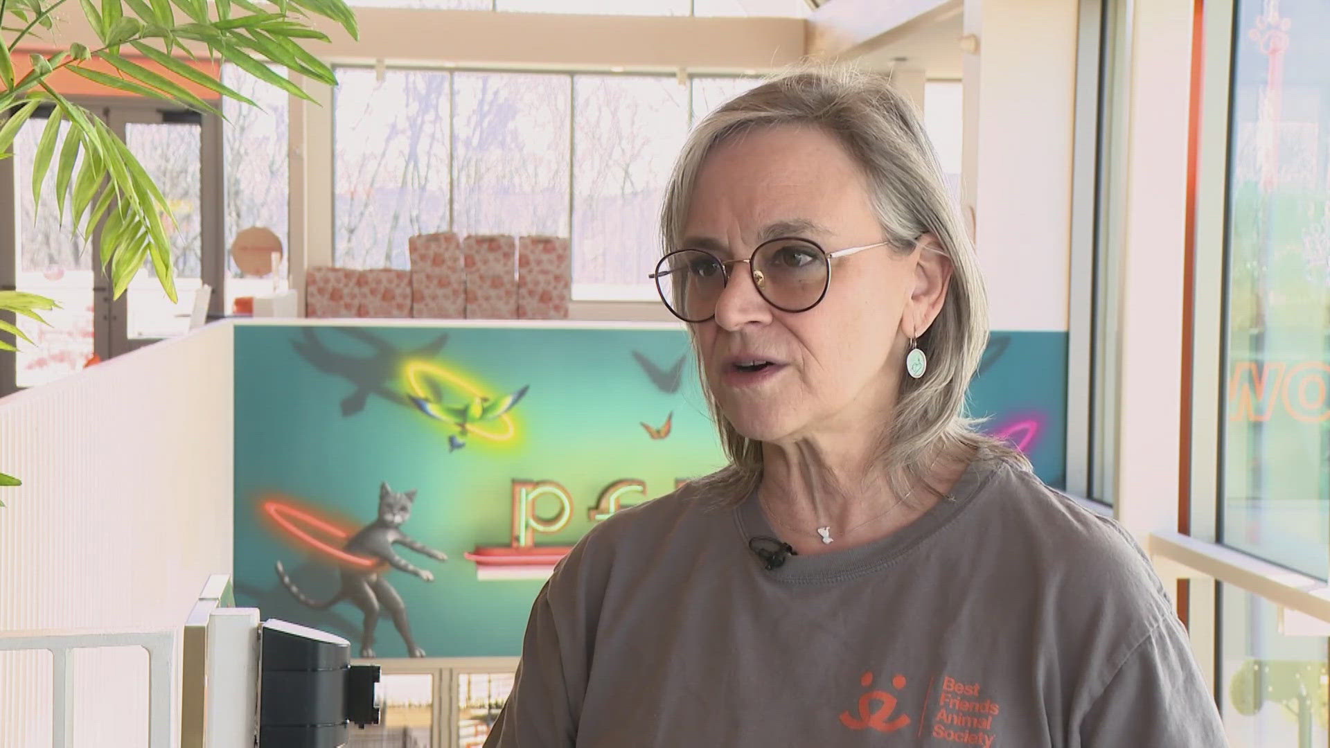 Best Friends Pet Resource Center shares tips to keep pets safe during ...