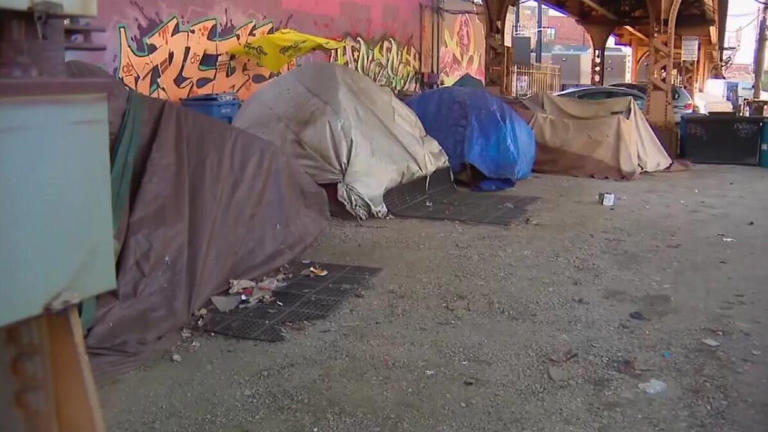 Chicago conducting annual homeless count as coldest weather of the ...