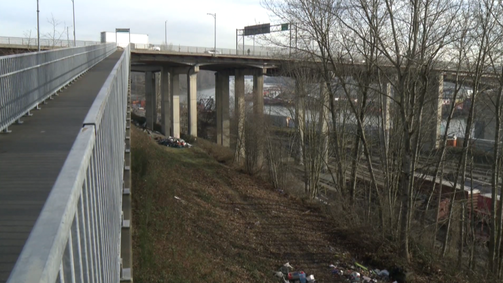 Illegal dump under New Westminster bridge